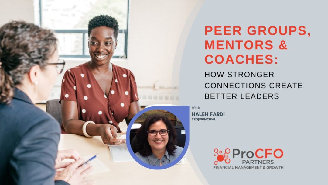 Meet Our Team - HALEH FARDI - ProCFO Partners